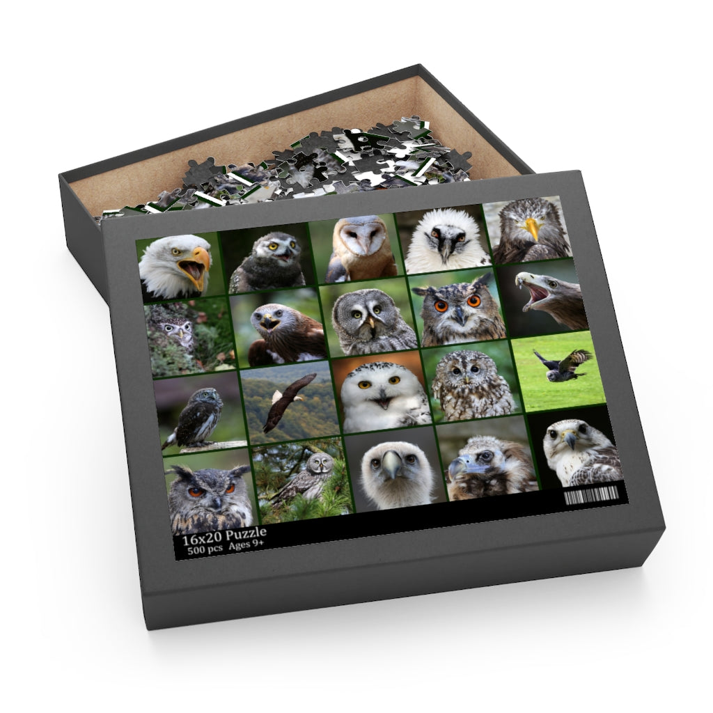 Birds of prey - collage - jigsaw puzzle