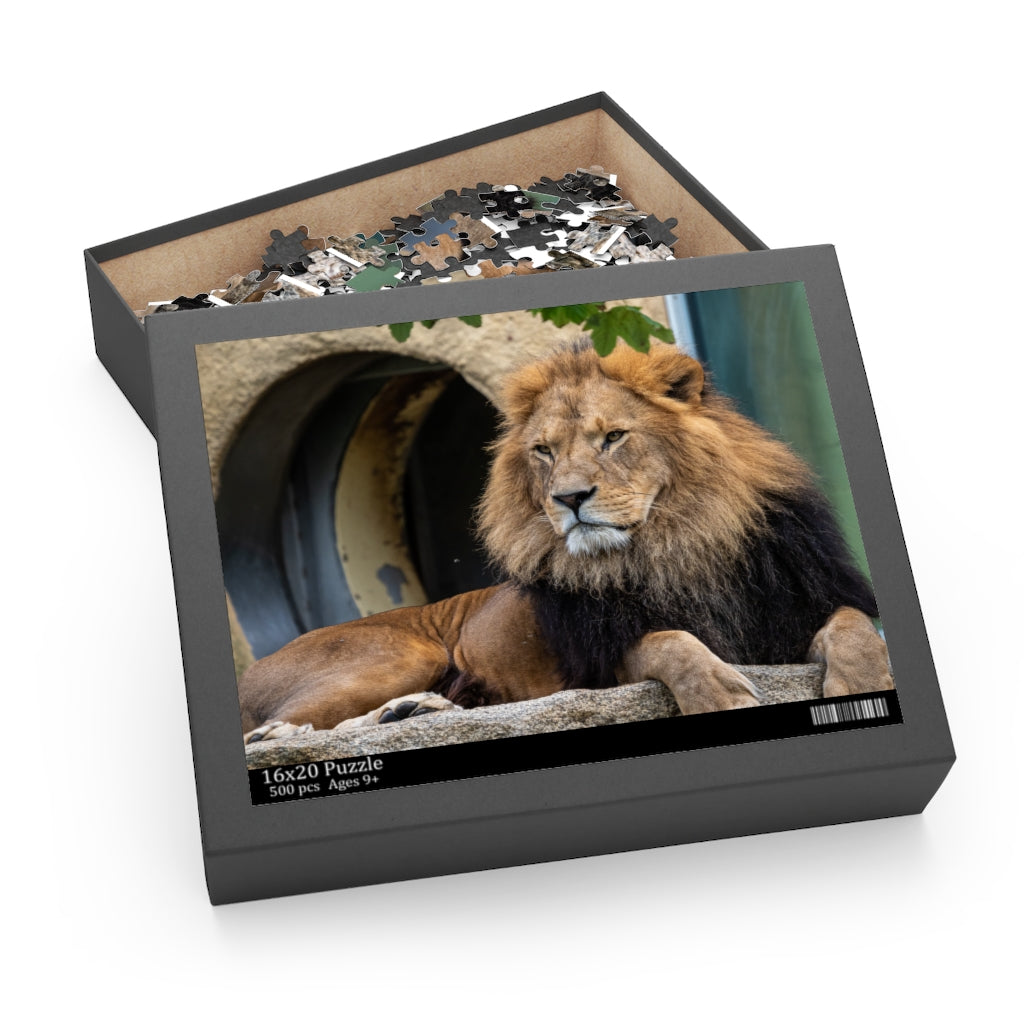 The lion - panthera leo - jigsaw puzzle