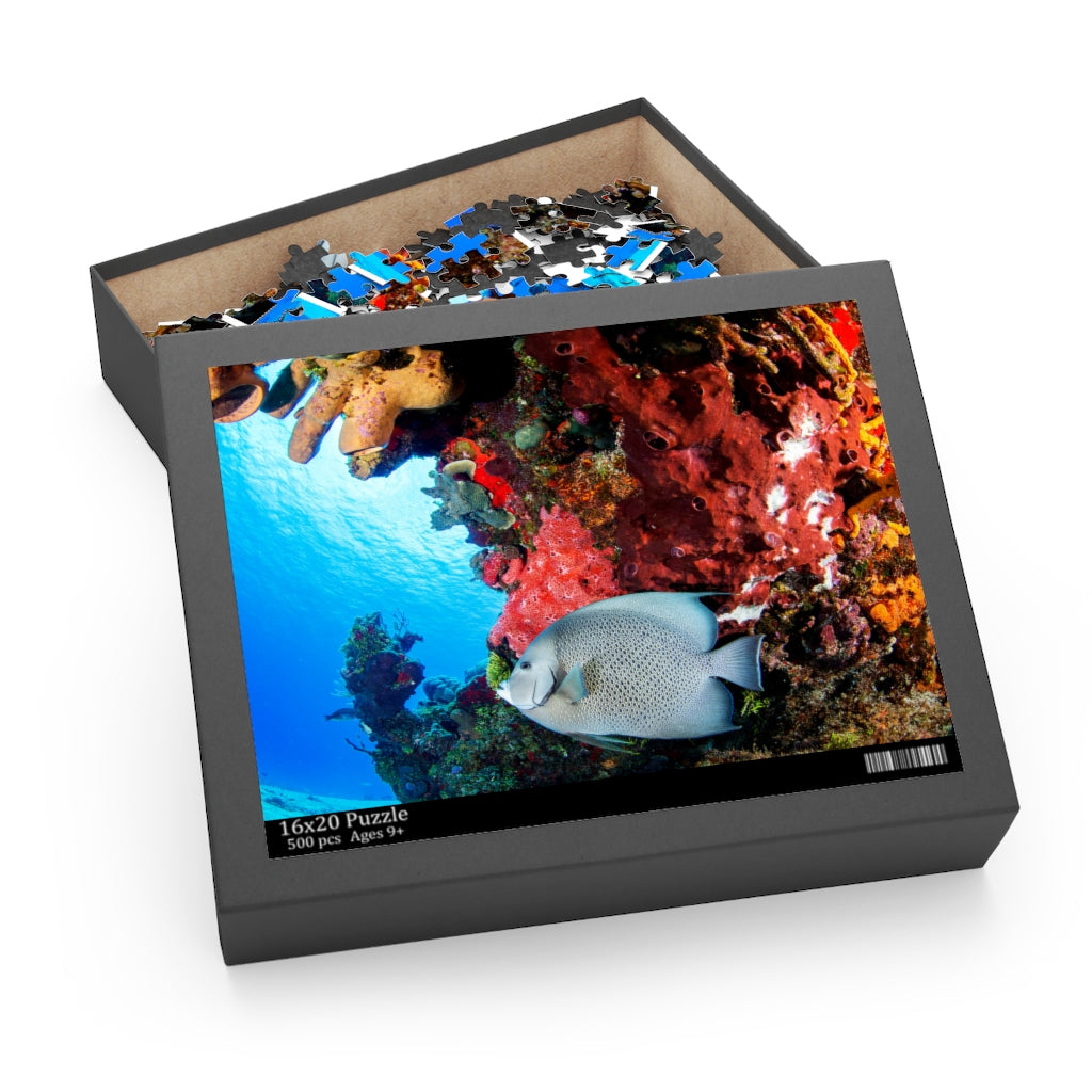 Gray angel fish in cozumel - jigsaw puzzle