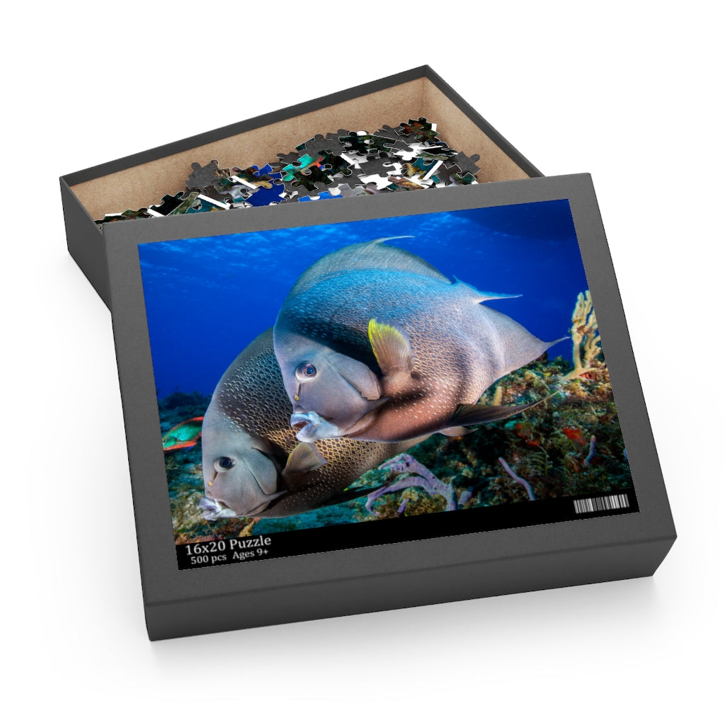 Gray angel fish in cozumel, mexico - jigsaw puzzle