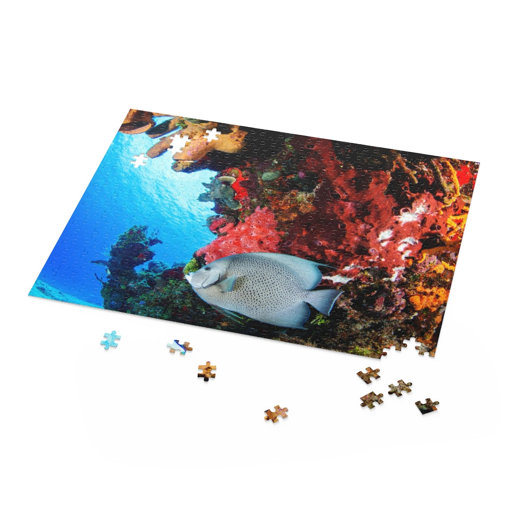 Gray angel fish in cozumel - jigsaw puzzle