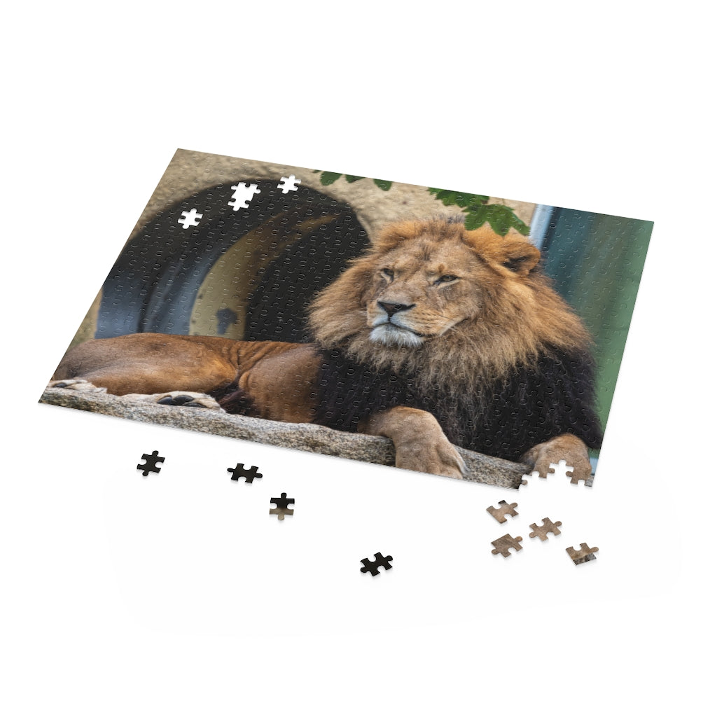 The lion - panthera leo - jigsaw puzzle